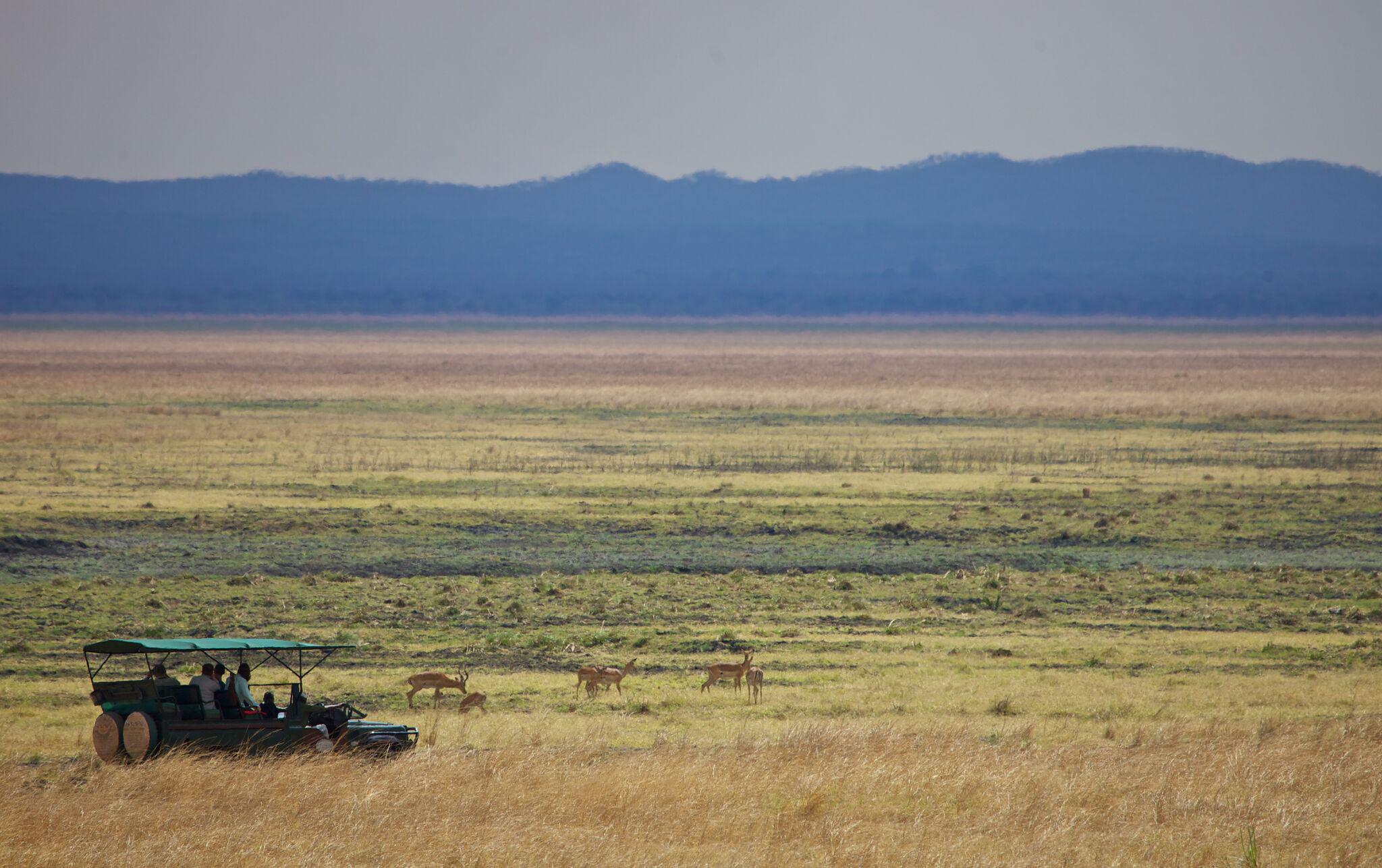 Katavi National Park - Katavi Wildlife Camp